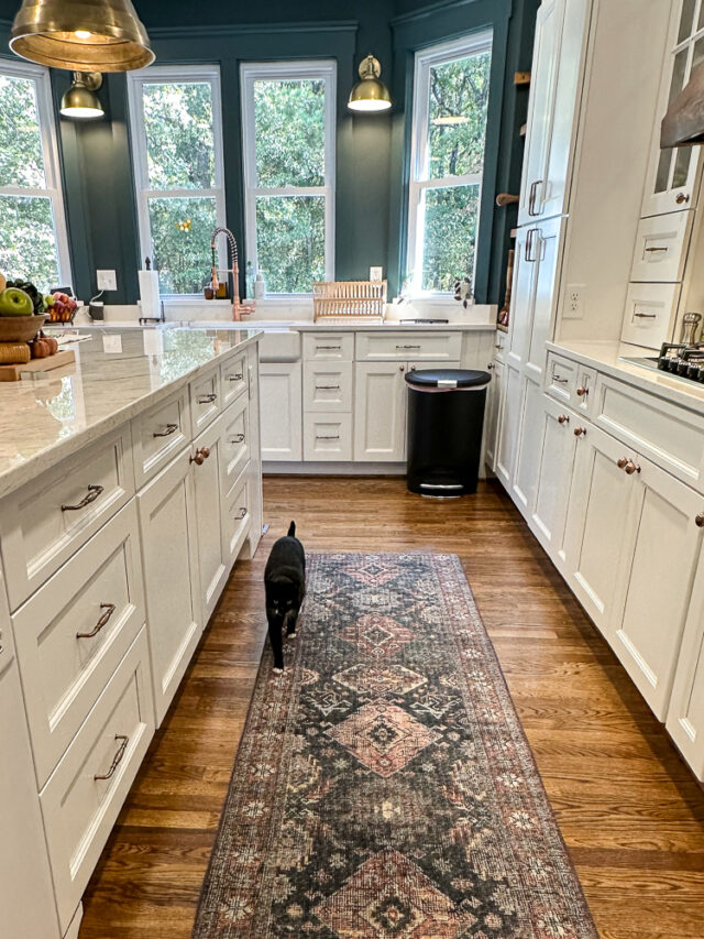 The Great Kitchen Remodel of 2022 - Beth Bryan